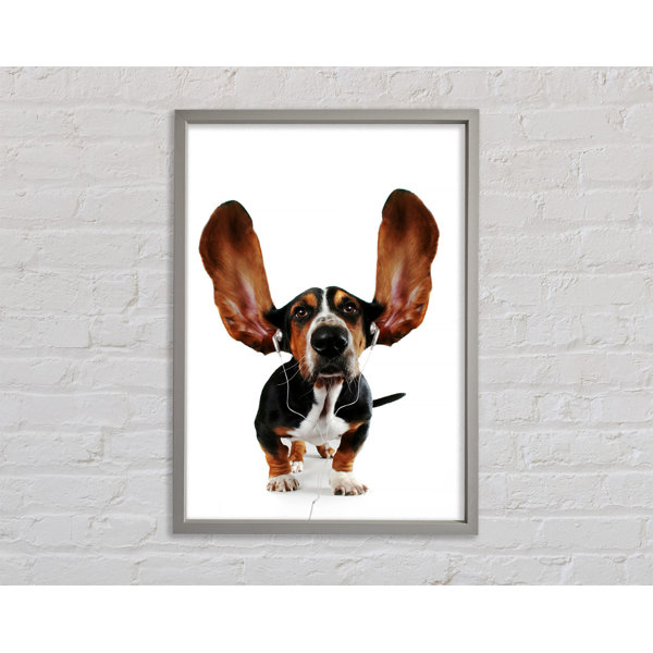 Bright Star Basset Hound Music - Single Picture Frame Print on Canvas ...