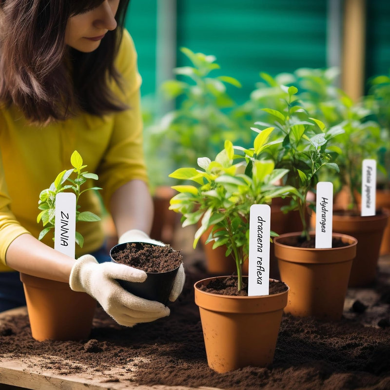 Arlmont & Co. Agrita Plant Support | Wayfair
