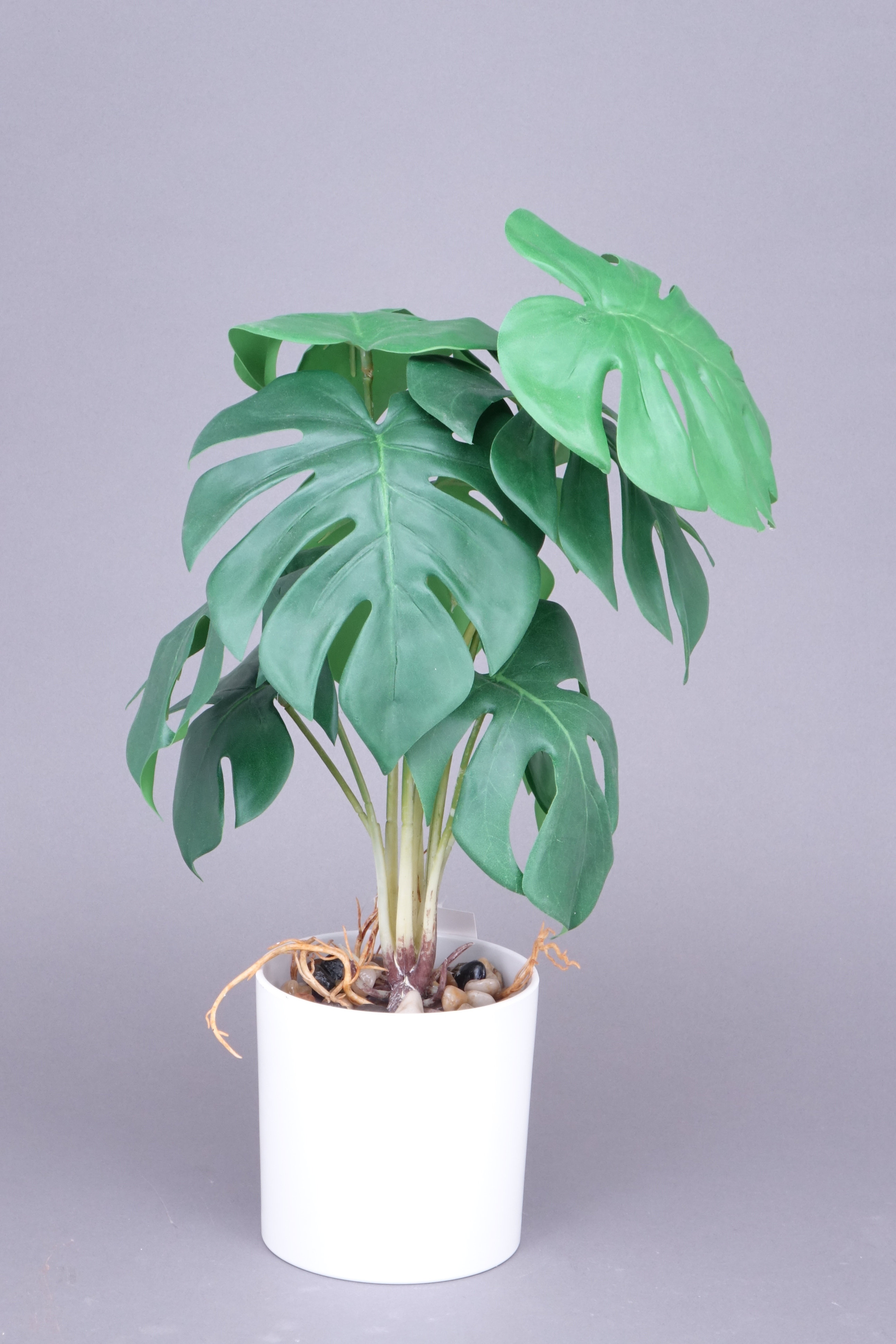 Primrue 15.8'' Faux Elephant Ear Plant in Ceramic Pot | Wayfair