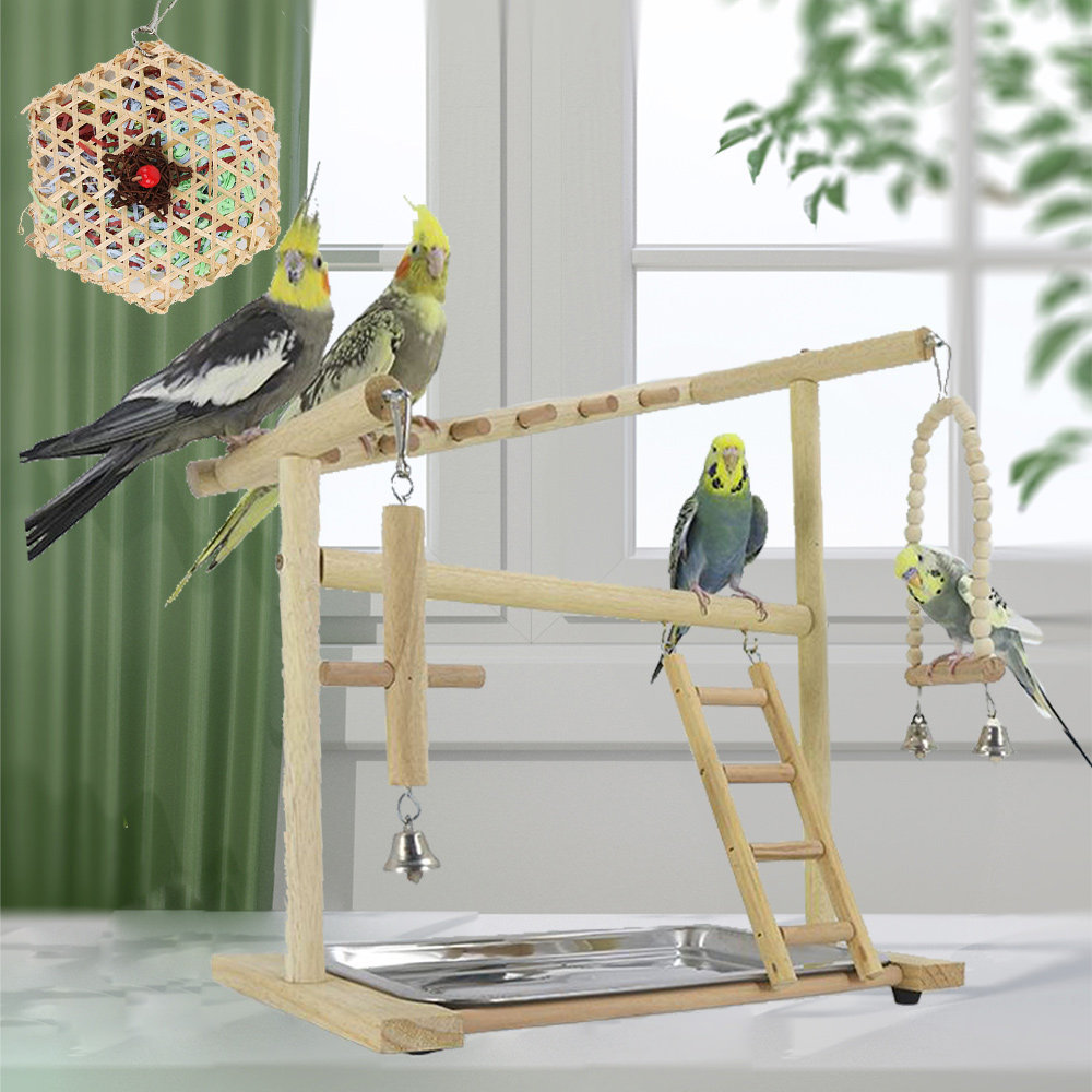 UMMA, LLC Bird Play Gym With 1 Pcs Colourful Toy - Wayfair Canada