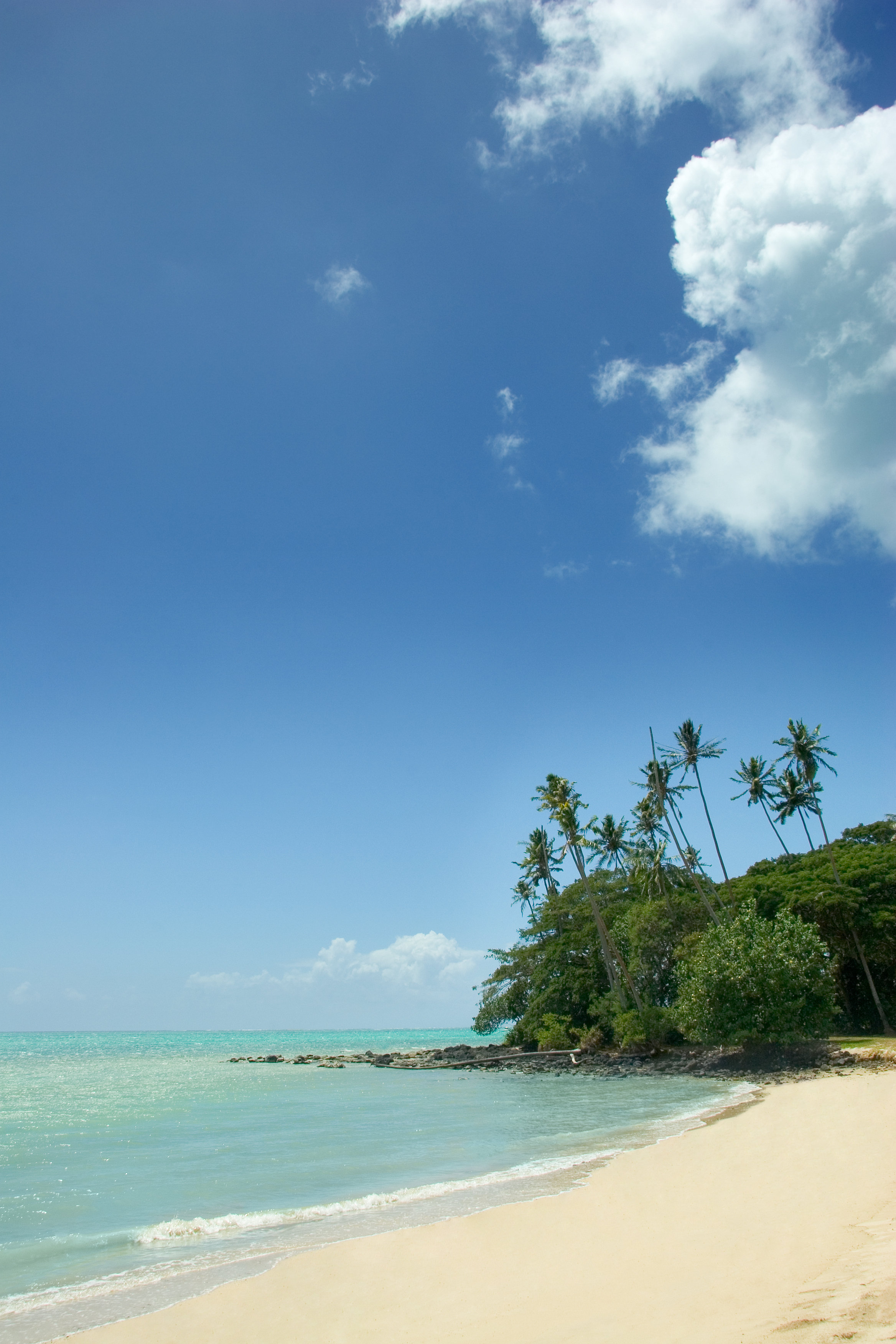 Highland Dunes Pacific Island Beach by Colonel - Wayfair Canada