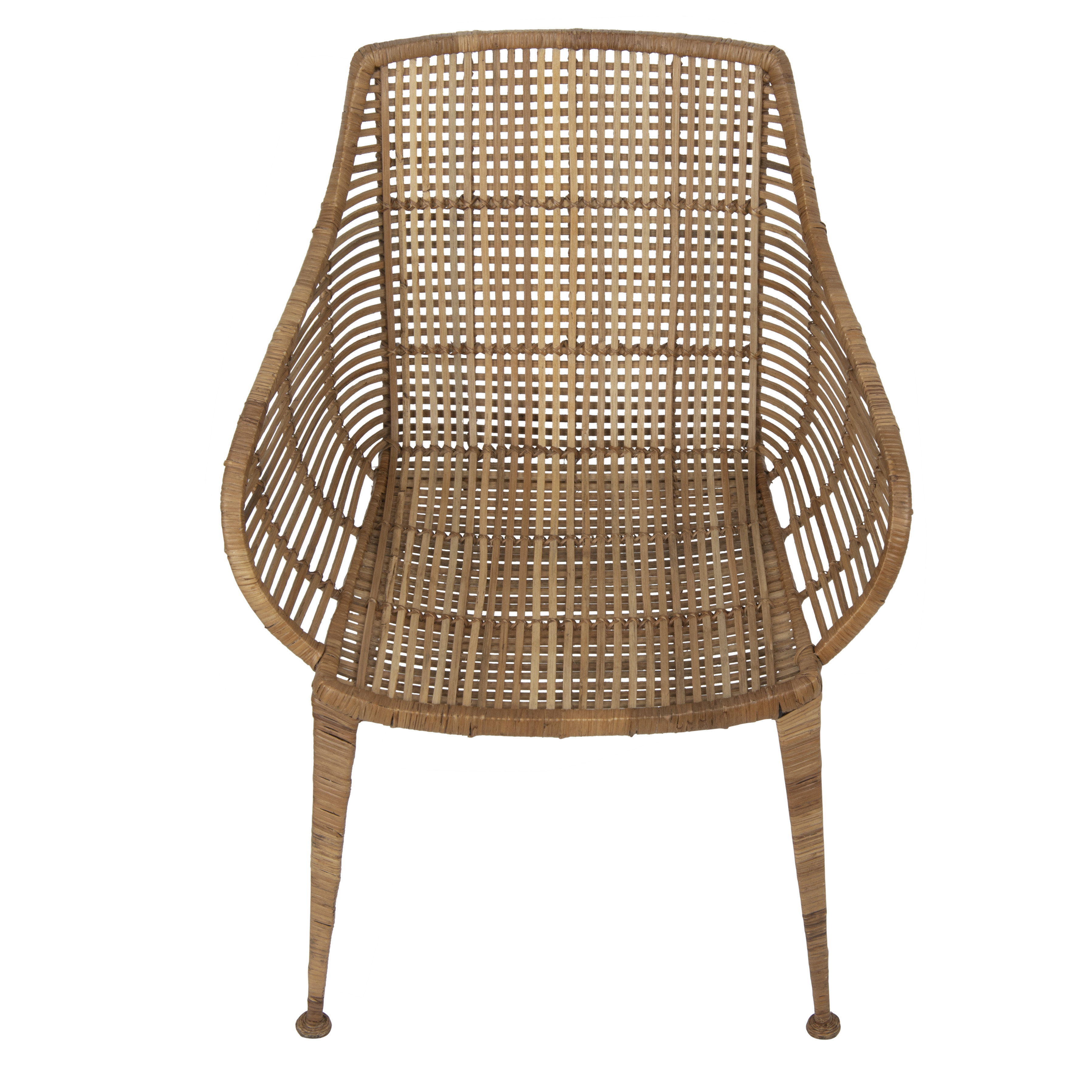 Bayou Breeze Rattan Arm Chair & Reviews - Wayfair Canada