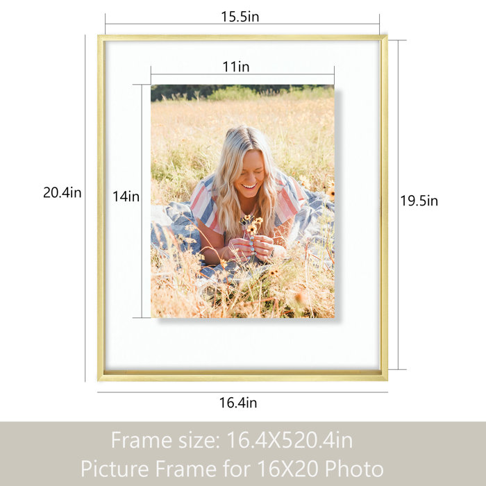 Laurel Foundry Modern Farmhouse Chevalier Floating Frame 16x20, Metal ...