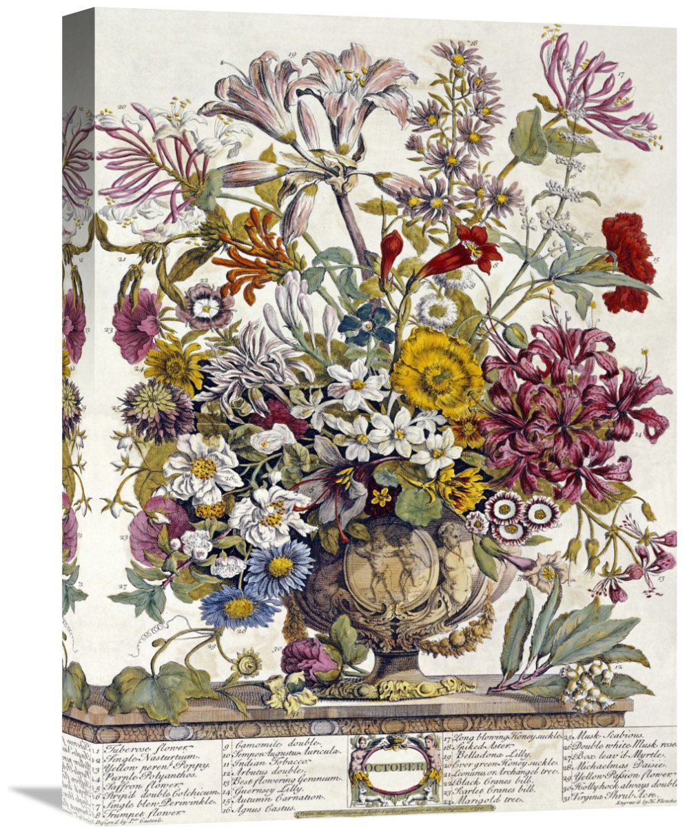 Global Gallery October - Twelve Months Of Flowers On Canvas by Robert ...