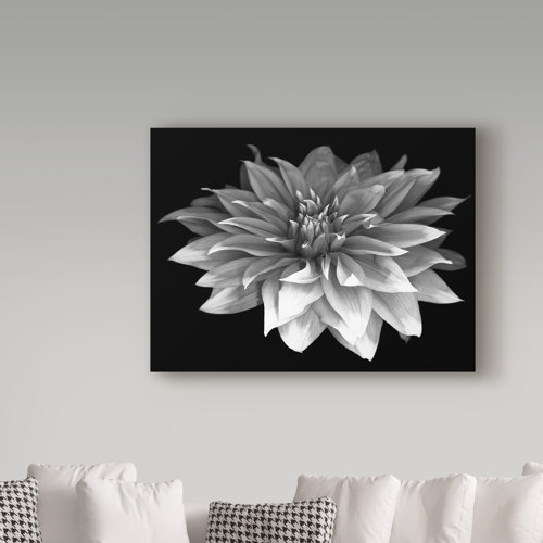 Black & White Large Wall Art You'll Love | Wayfair