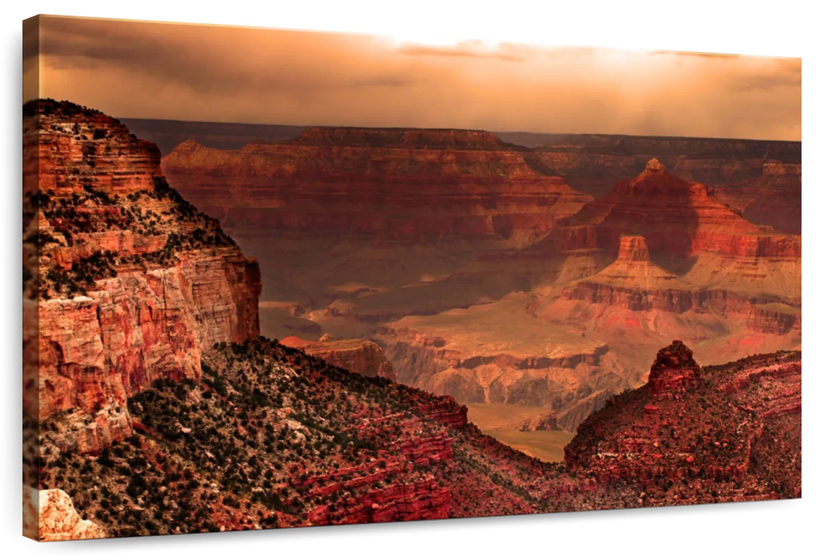 Millwood Pines Alvord Grand Canyon South Rim | Wayfair