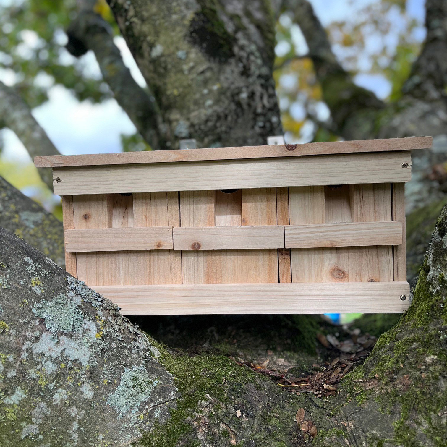 Lark Manor Carwile Traditional Birdhouse | Wayfair.co.uk
