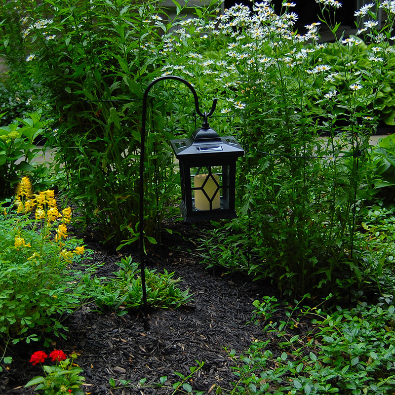 Longshore Tides Vanessa Black Solar Lantern with Shepherd's Hook ...