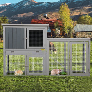 Tucker Murphy Pet™ Faron Weather Resistant Rabbit Hutch With Ramp ...