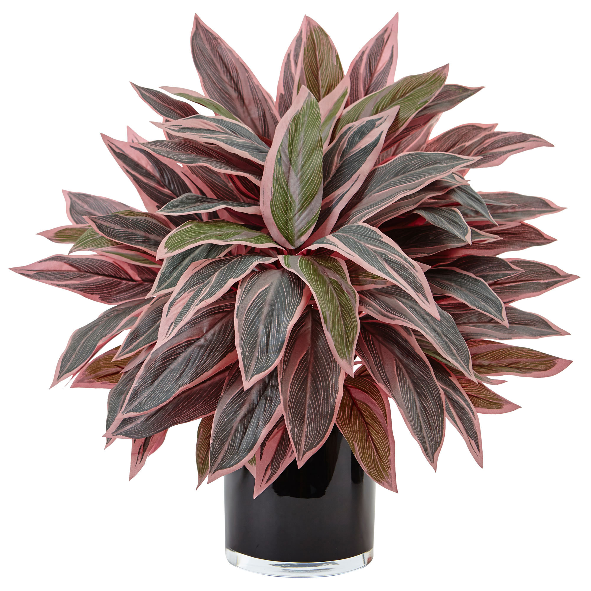 Orren Ellis Artificial Caladium Desktop Foliage Plant in Planter ...