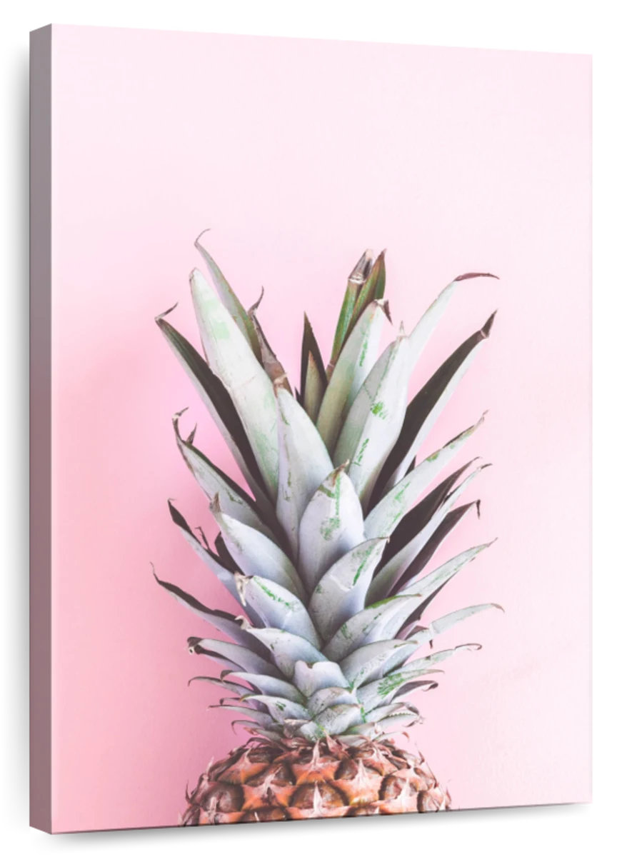 Trinx Pineapple On Pink - Wayfair Canada