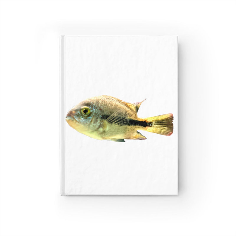 Marick Booster Fish Notebook | Wayfair