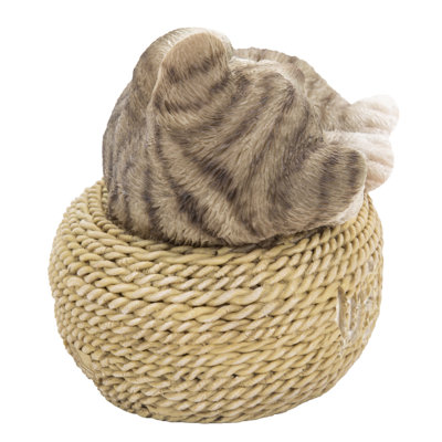 Hi-Line Gift Ltd. Cat Statue & Reviews | Wayfair