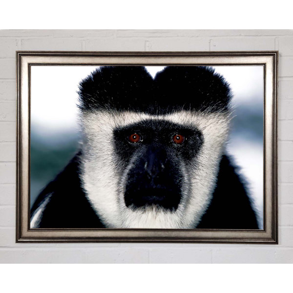 Brayden Studio Monkey Face - Single Picture Frame Art Prints | Wayfair ...