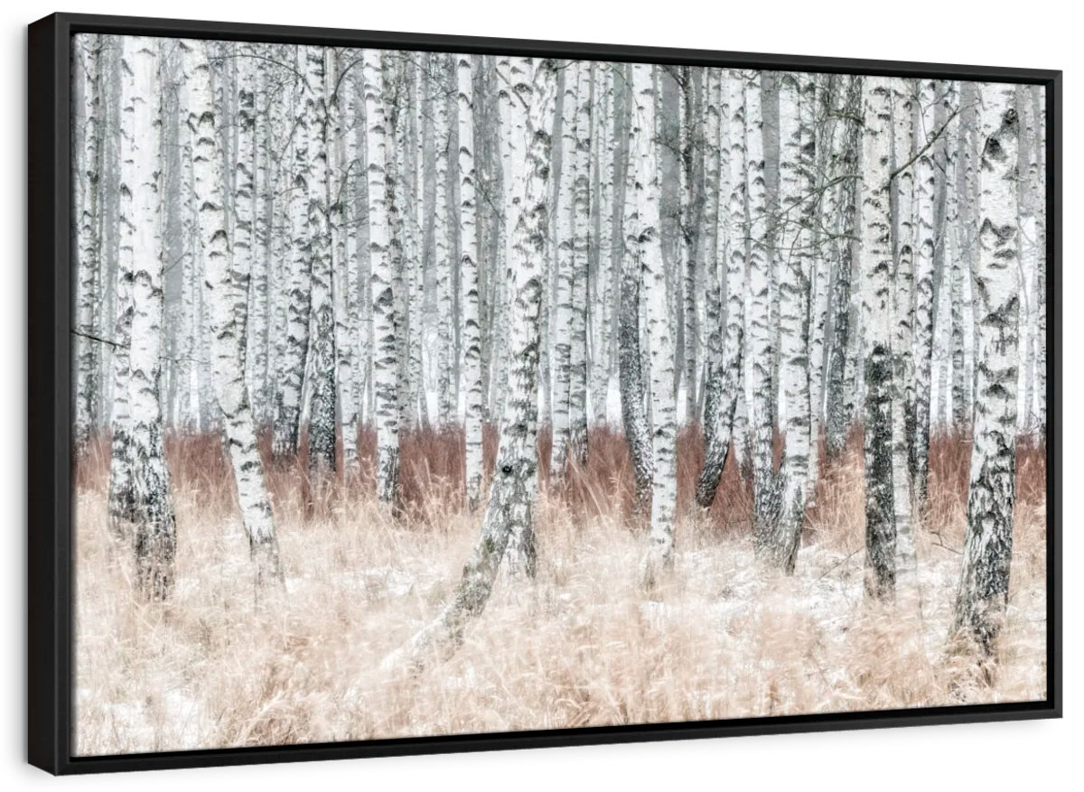 Elephant Stock Winter Season Birch Forest Canvas Print | Wayfair