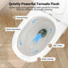 DeerValley Compact ADA Toilet with High-Efficiency Dual Flush, Comfort ...