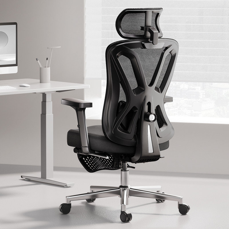 Inbox Zero Lawryn Hbada P5 Ergonomic Office Chair with Spring Cushion ...