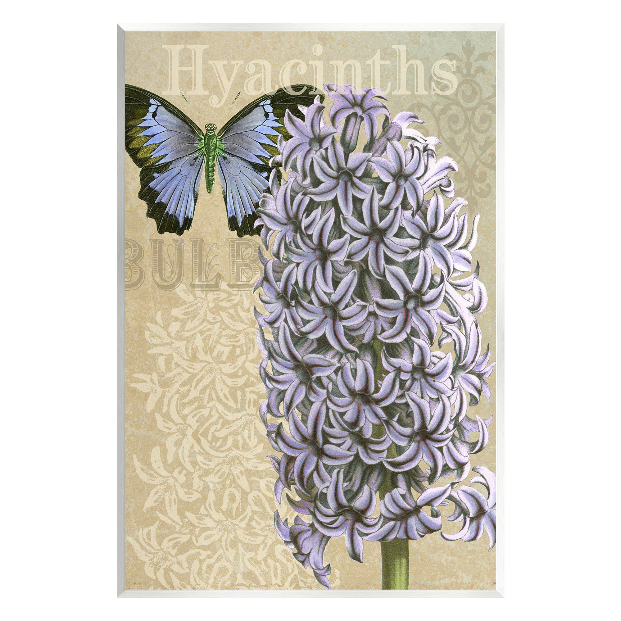 Winston Porter Hyacinth Pattern & Butterfly Wall Plaque Art by Gail Fraser | Wayfair