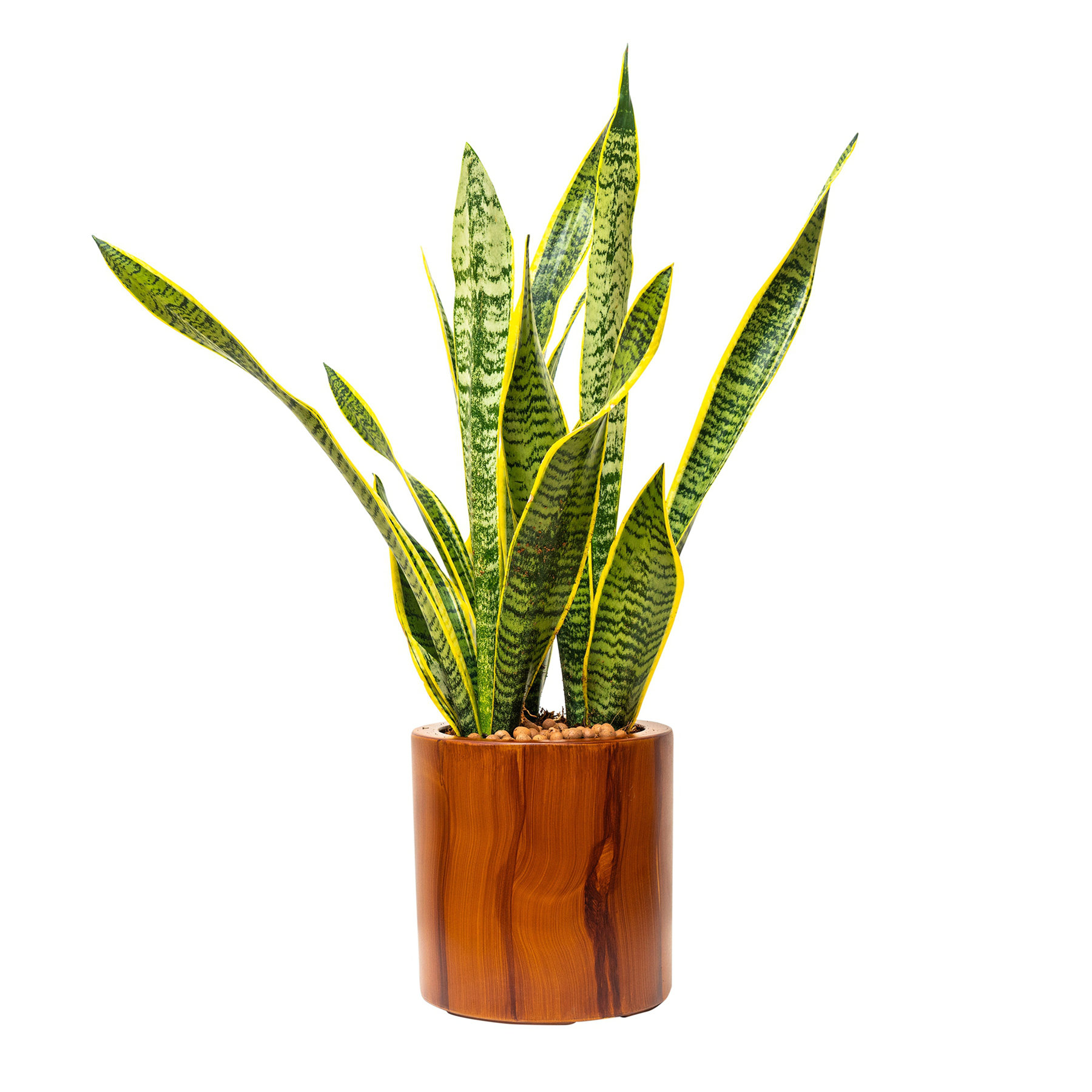Millwood Pines 7.8 in. Plastic Self-watering Planter Pot | Wayfair
