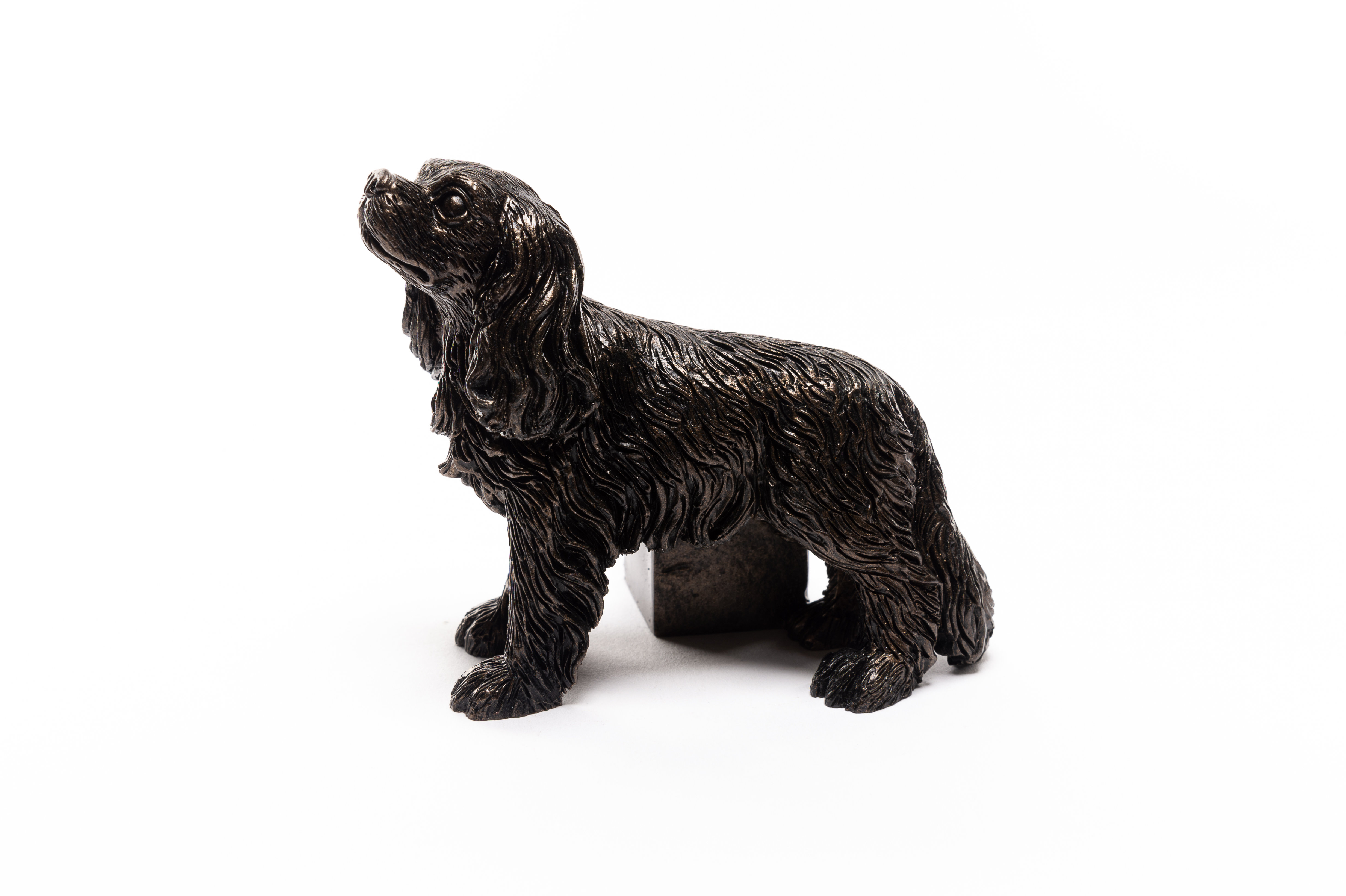 Winston Porter Laytonville Cavalier King Charles Spaniel Dog Bronze ...
