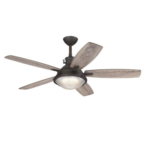 Bronze Large Room Ceiling Fans With Lights You'll Love | Wayfair