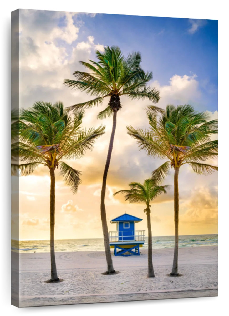 Ebern Designs Aime Idyllic Florida Beach Sunrise | Wayfair