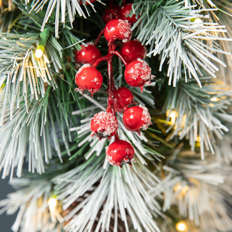 The Holiday Aisle® Heyder Pre-Lit Swag with 50 Warm Lights & Clear ...