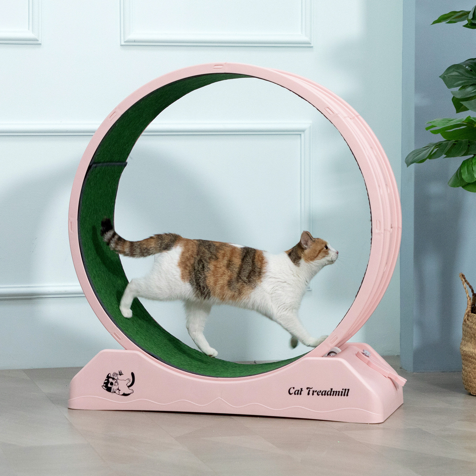 Tucker Murphy Pet™ "Cat Treadmill Exercise Wheel Lockable, Large ...