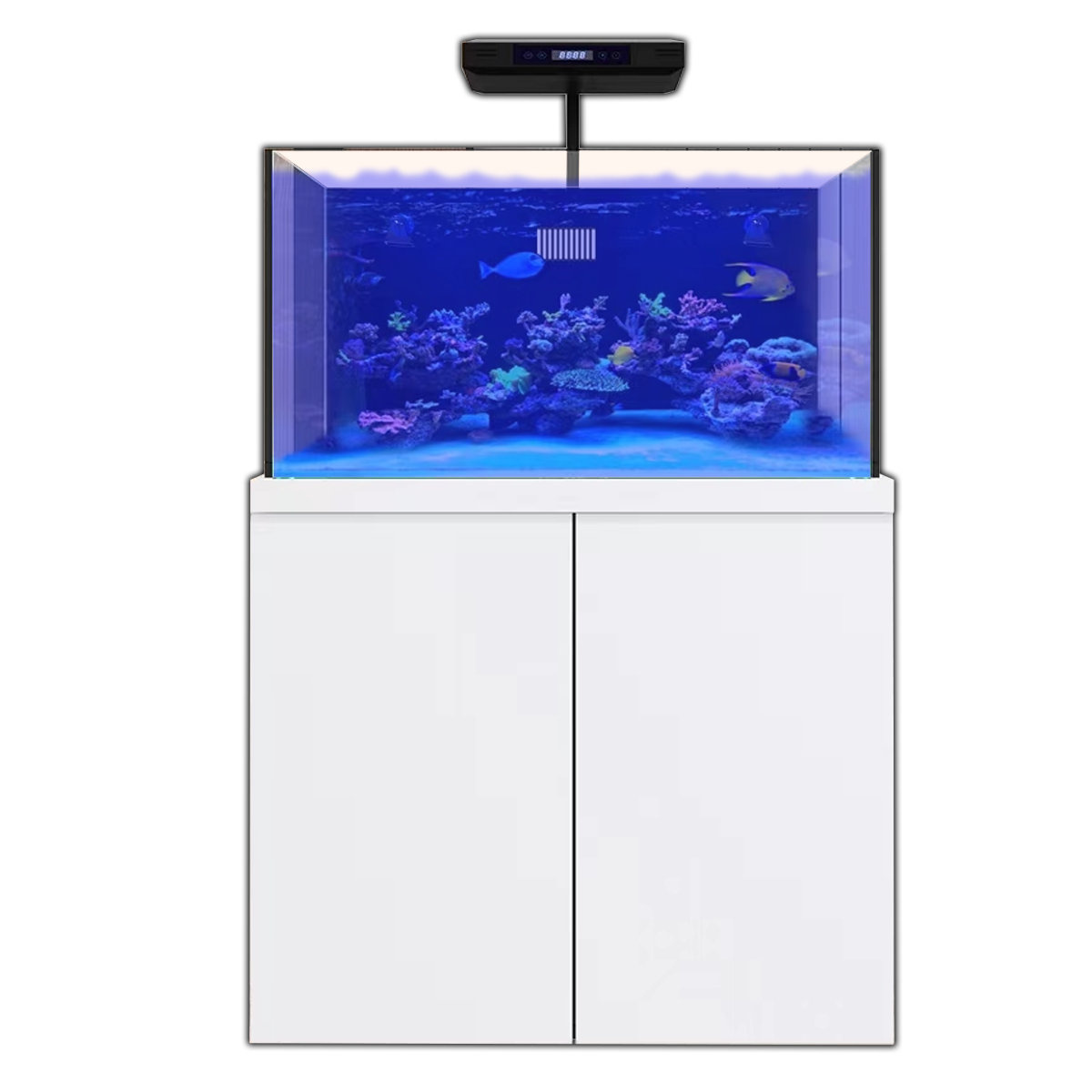 AQUA DREAM Coral Reef Aquarium 100 Gallon Fish Tank Complete Set ...