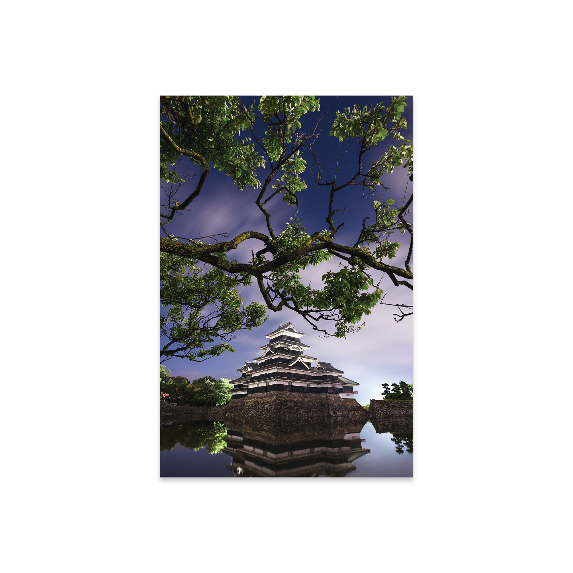 Ebern Designs Matsumoto Castle II Print On Acrylic Glass - Wayfair Canada