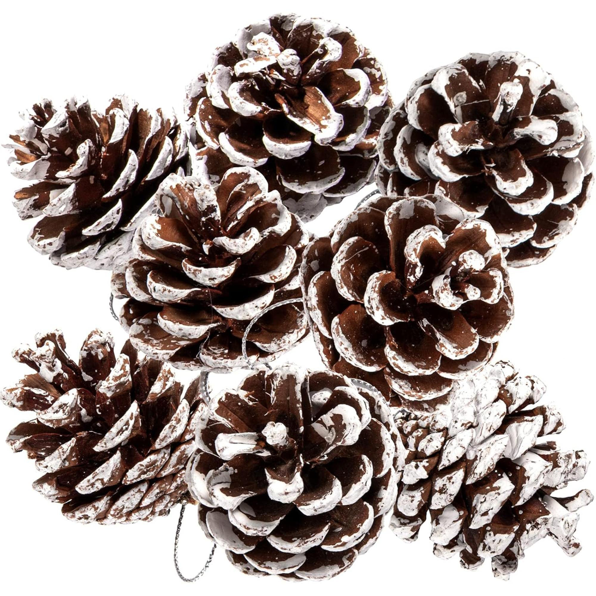 The Holiday Aisle® 25ct Snow Pinecones With String Pine Cone Pendant ...