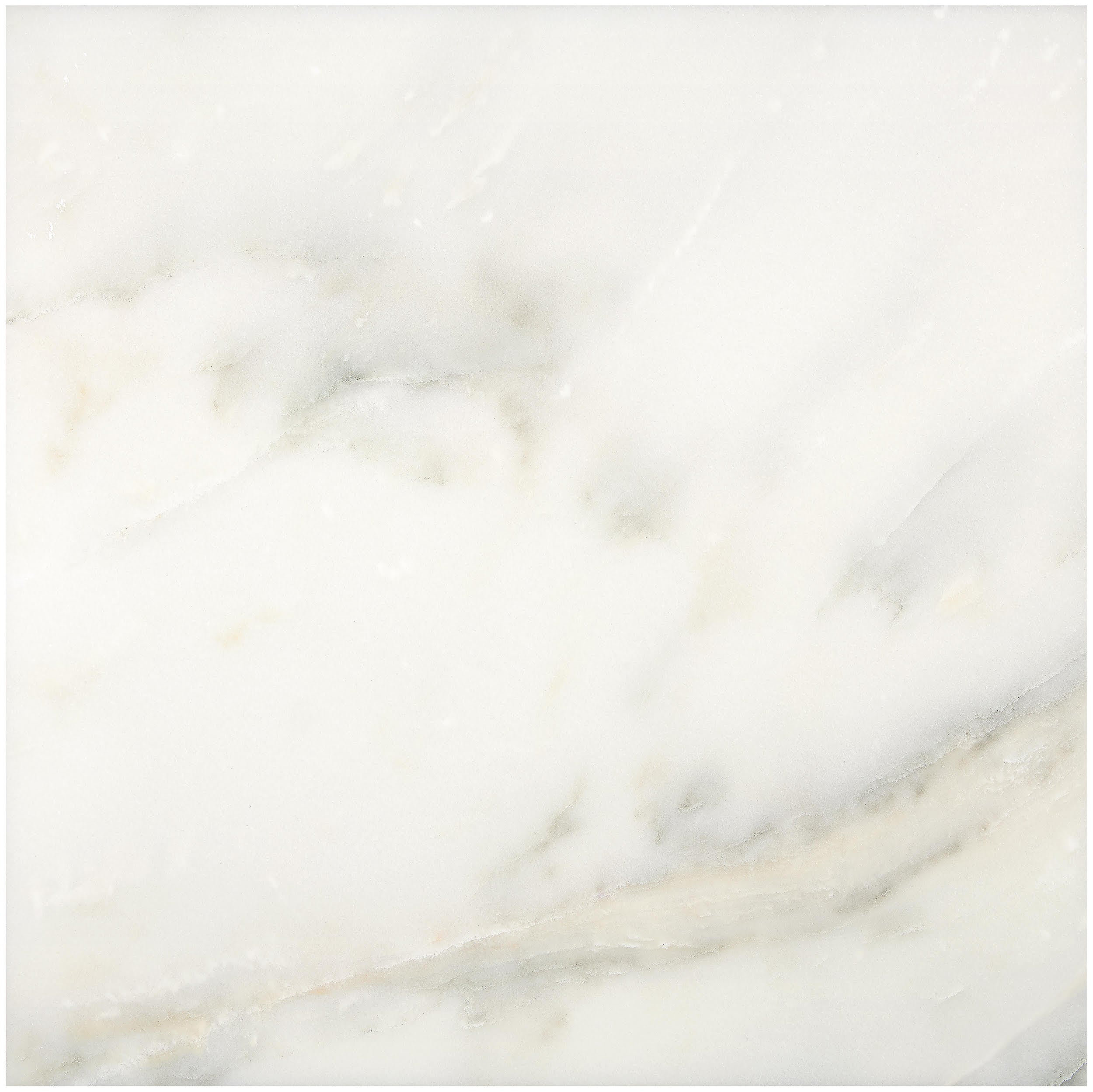 Stone & Tile Shoppe, Inc. 12" x 24" Marble Marble Look Wall & Floor ...