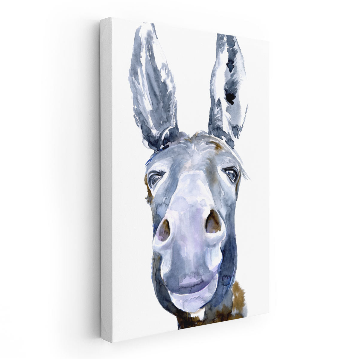 Rosalind Wheeler Sweet Donkey I - Canvas Print Wall Art | Wayfair