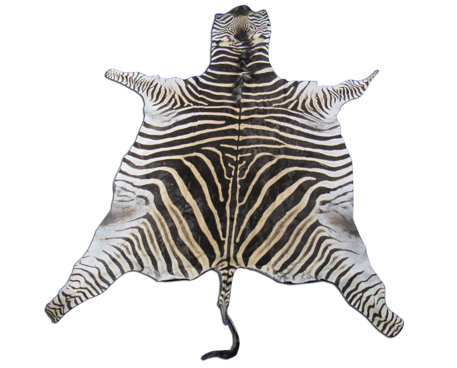Foundry Select Real Zebra Skin Rug - Wayfair Canada