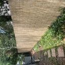 Backyard X-Scapes 6 ft. H x 16 ft. W Natural Jumbo Reed Fence ...