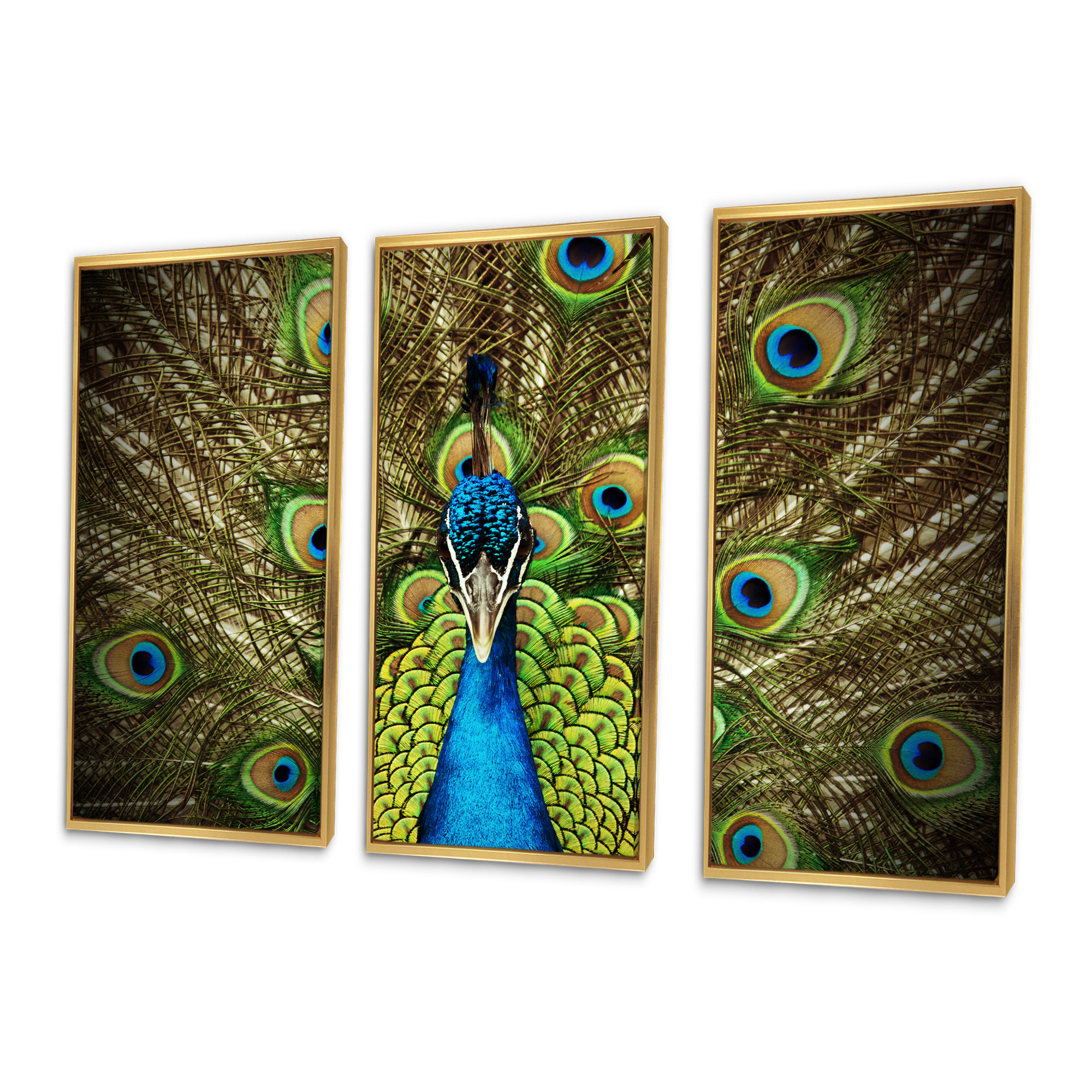 Latitude Run® Grand Peacock - Animal Framed Canvas Wall Art Set Of 3 ...