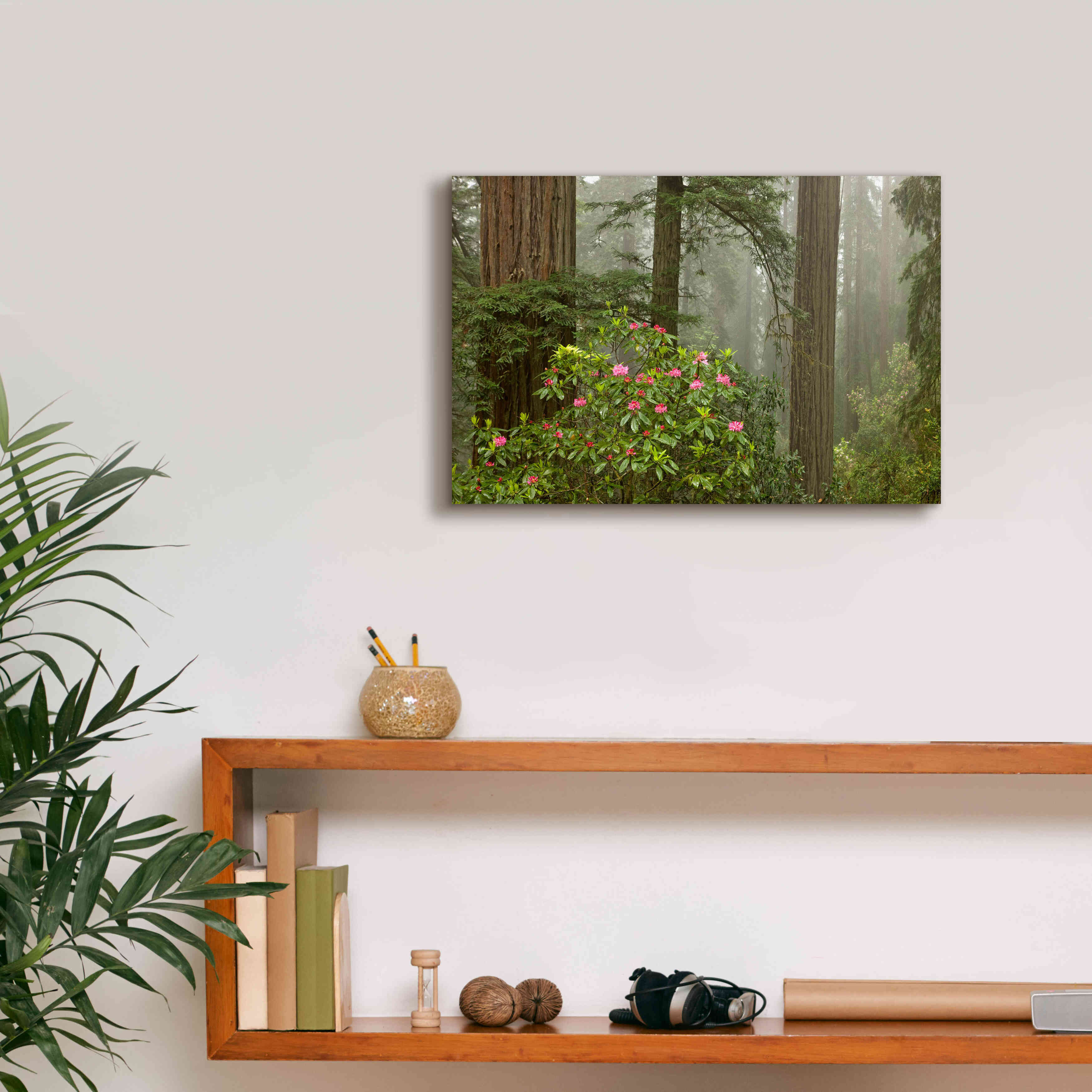 Millwood Pines Redwood Fog Rhododendrons by Mike Jones - Wrapped Canvas ...