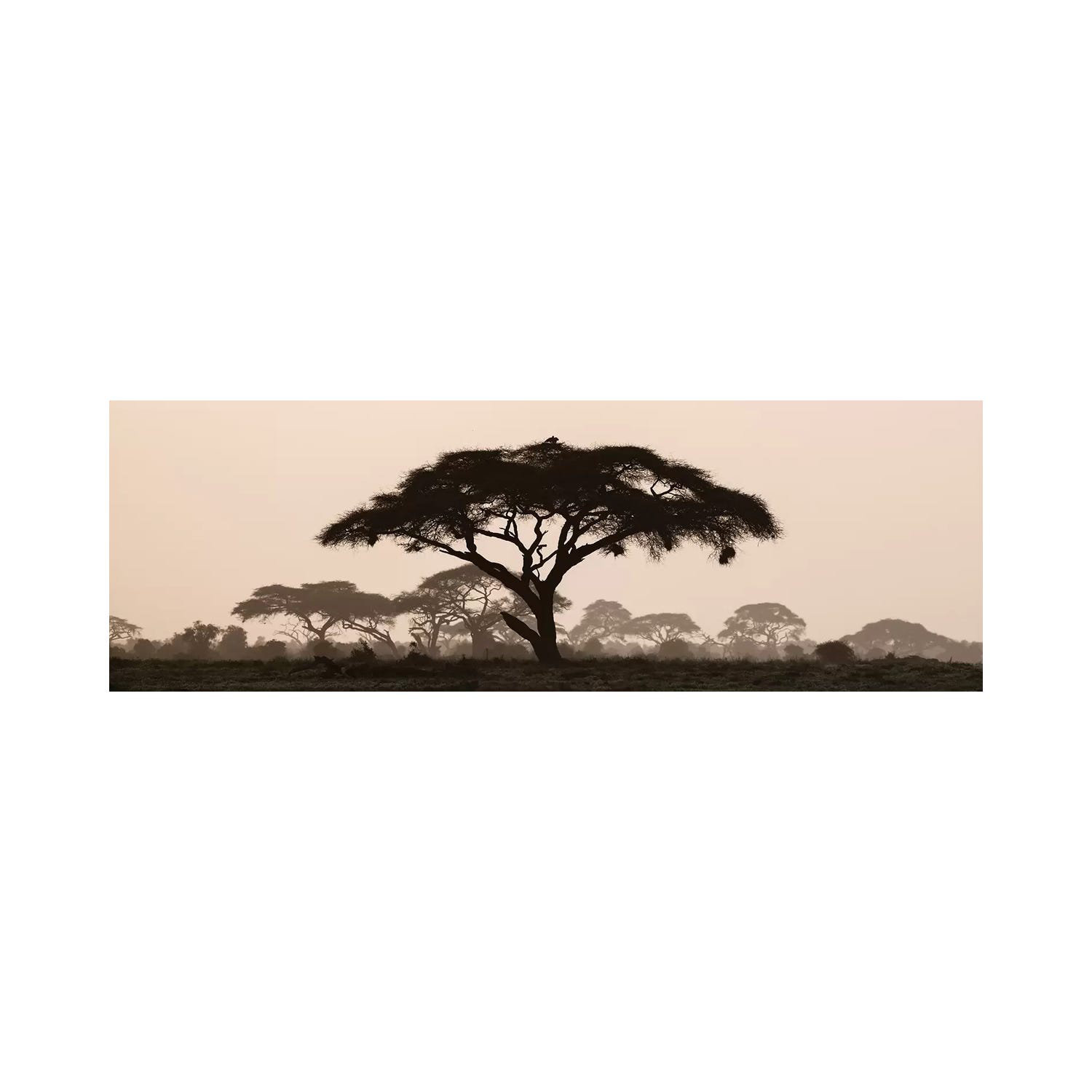 Brayden Studio Africa, Kenya, Maasai Mara National Reserve. Silhouette ...