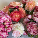 Winward Silks Peony Arrangement in Vase & Reviews | Wayfair