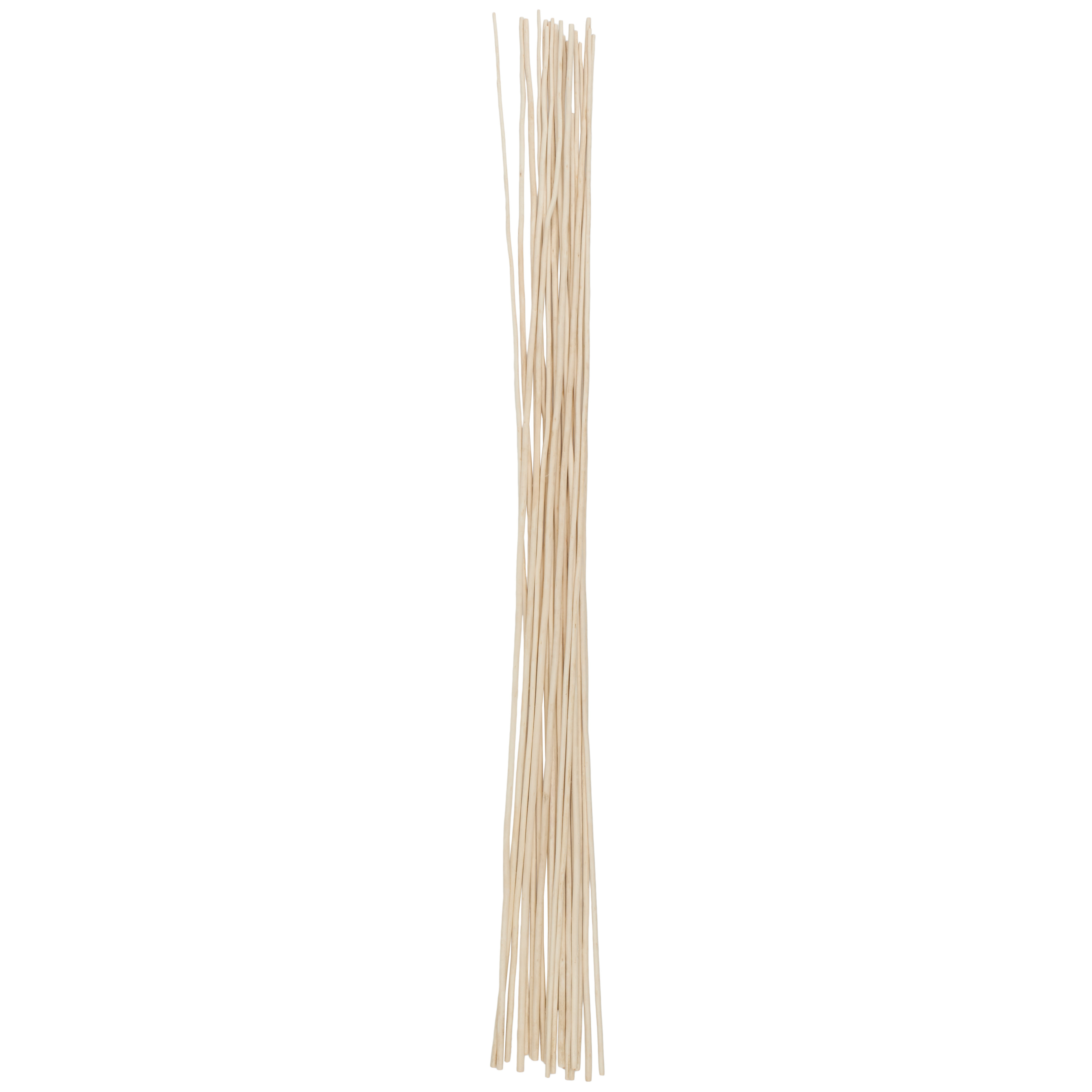 Primrue Cole And Grey Jute Rope Tall Sticks Natural Foliage - Wayfair ...
