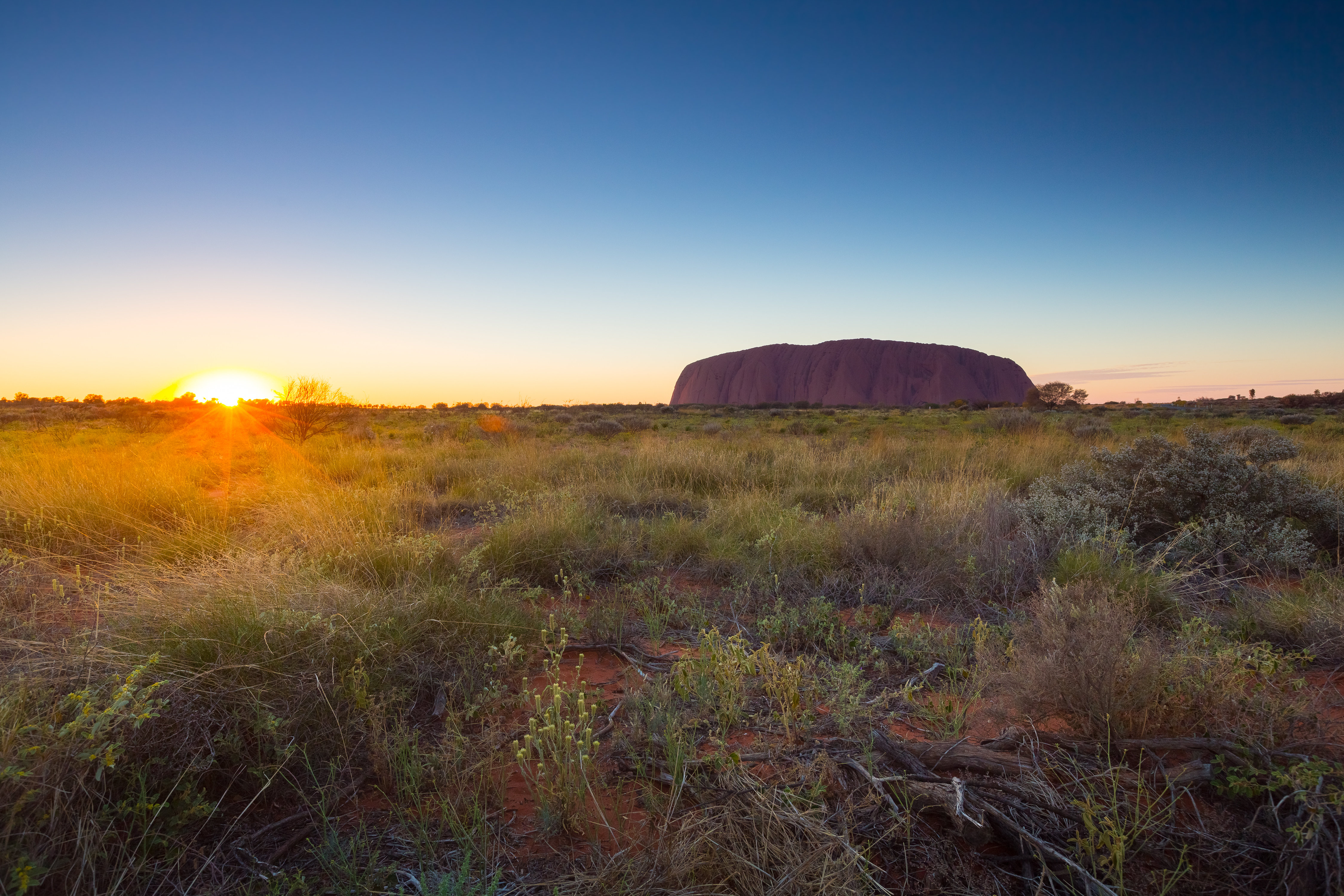 Millwood Pines " Australia Outback Landscape View In Morning " | Wayfair