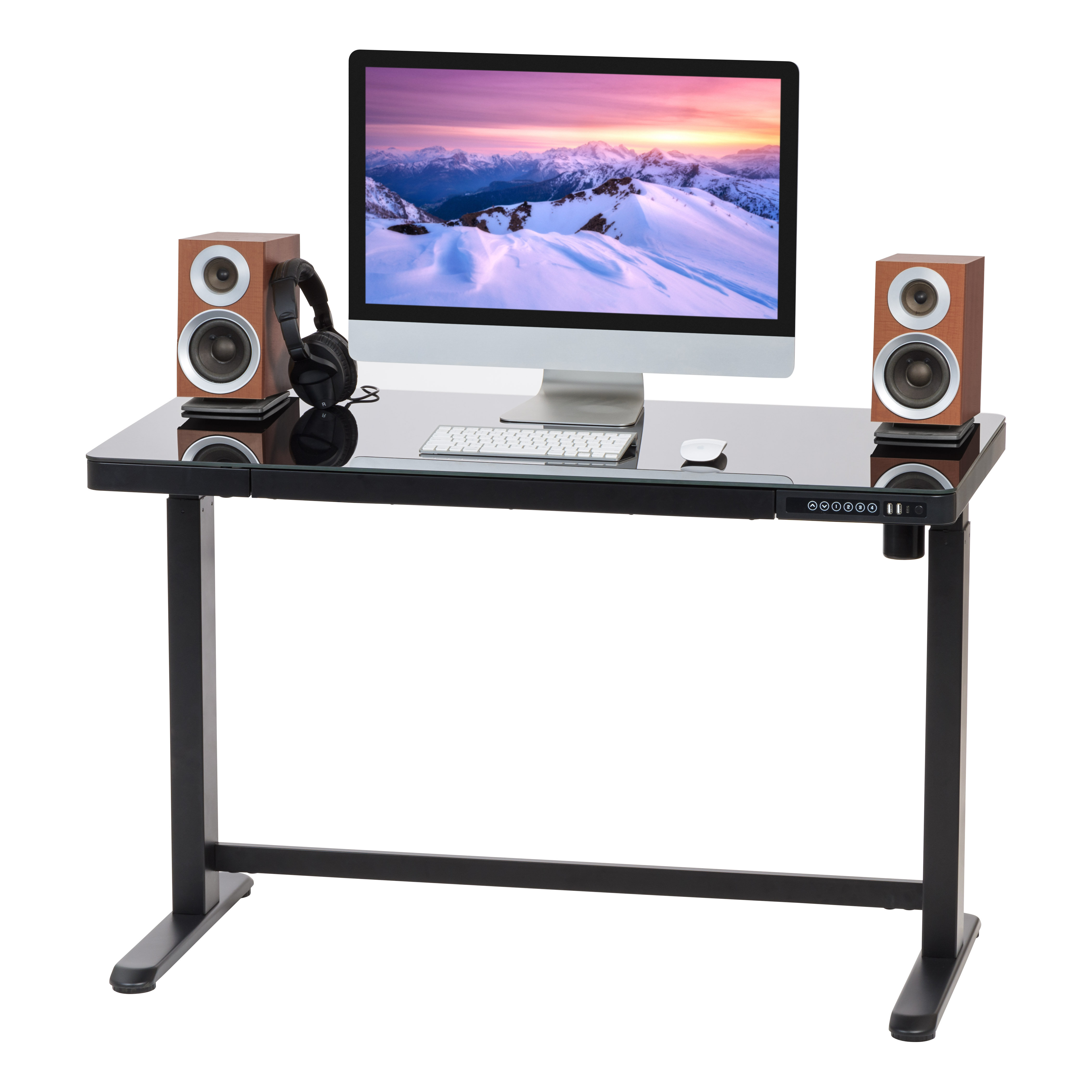 IRIS USA, Inc. Height Adjustable Standing Desk - Wayfair Canada