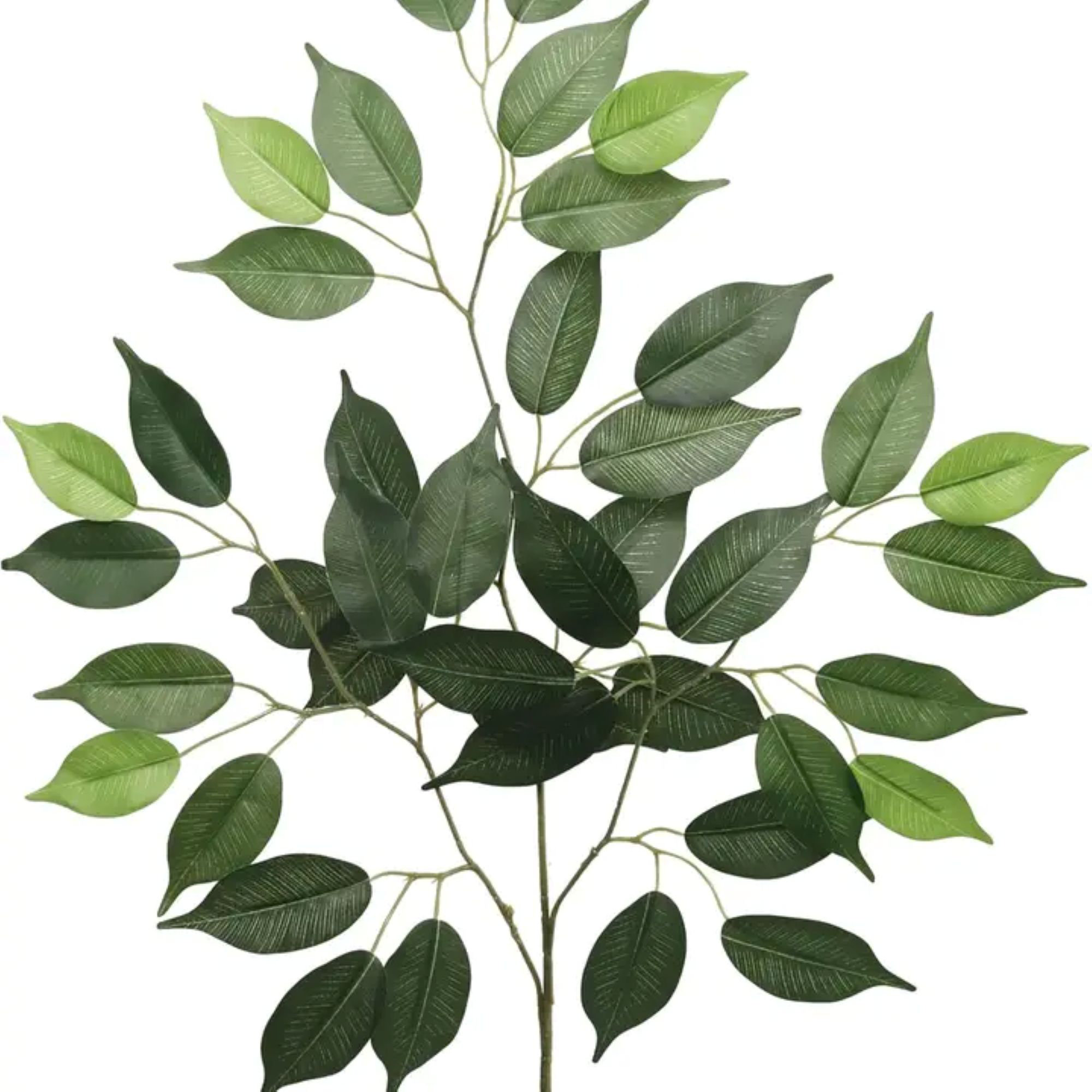 Ophelia & Co. 24-pack: Green Ficus Spray With 42 Silk Leaves | Wayfair