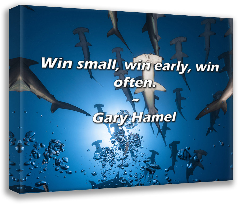 Trinx Gary Hamel Quote: Win small, win early, win often. | Wayfair