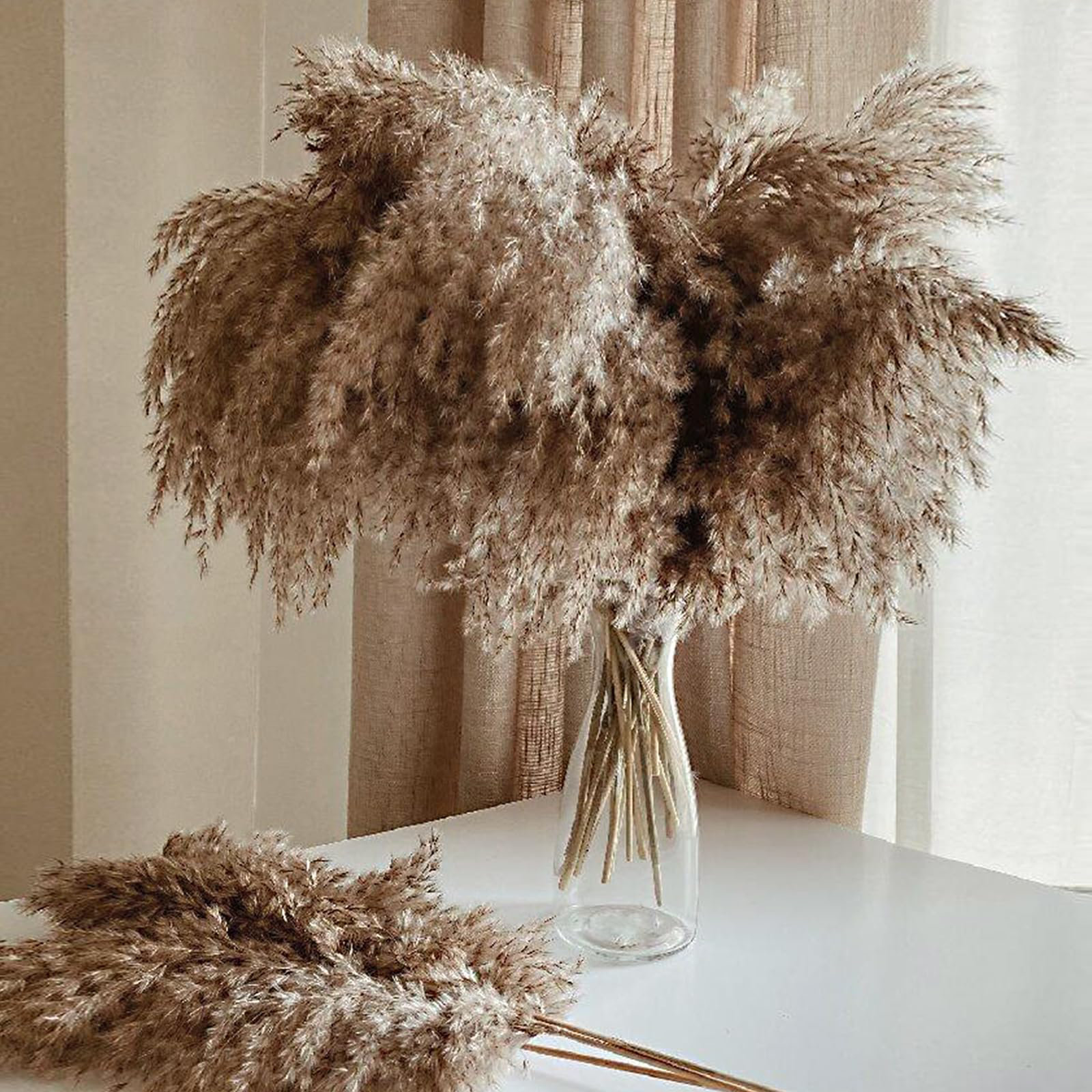 Primrue 30 Stems Home Decor - Natural Dried Pampas Grass, Fluffy Brown ...