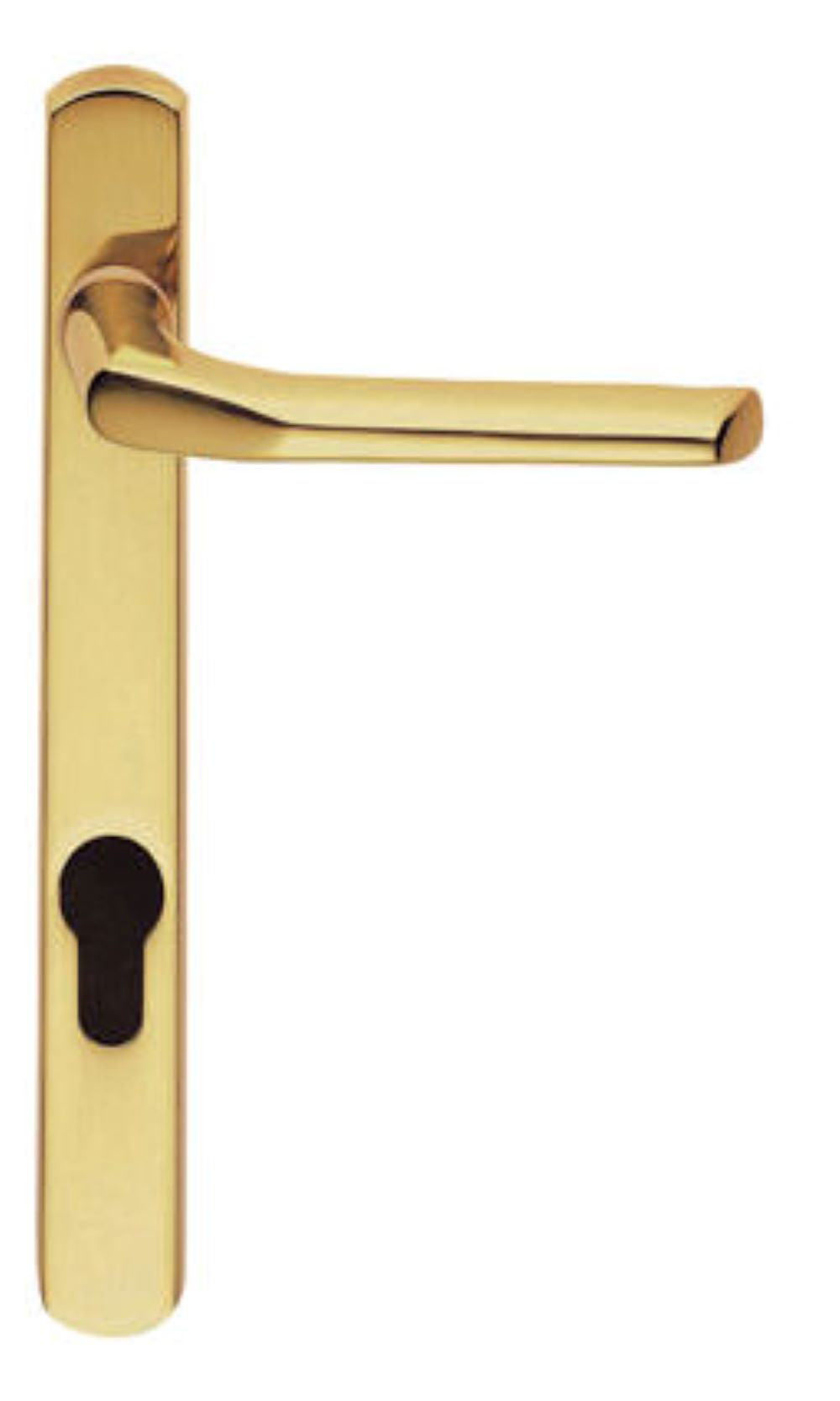 Manital Narrow Plate Multipoint Euro Profile Lock Door Handle | Wayfair ...