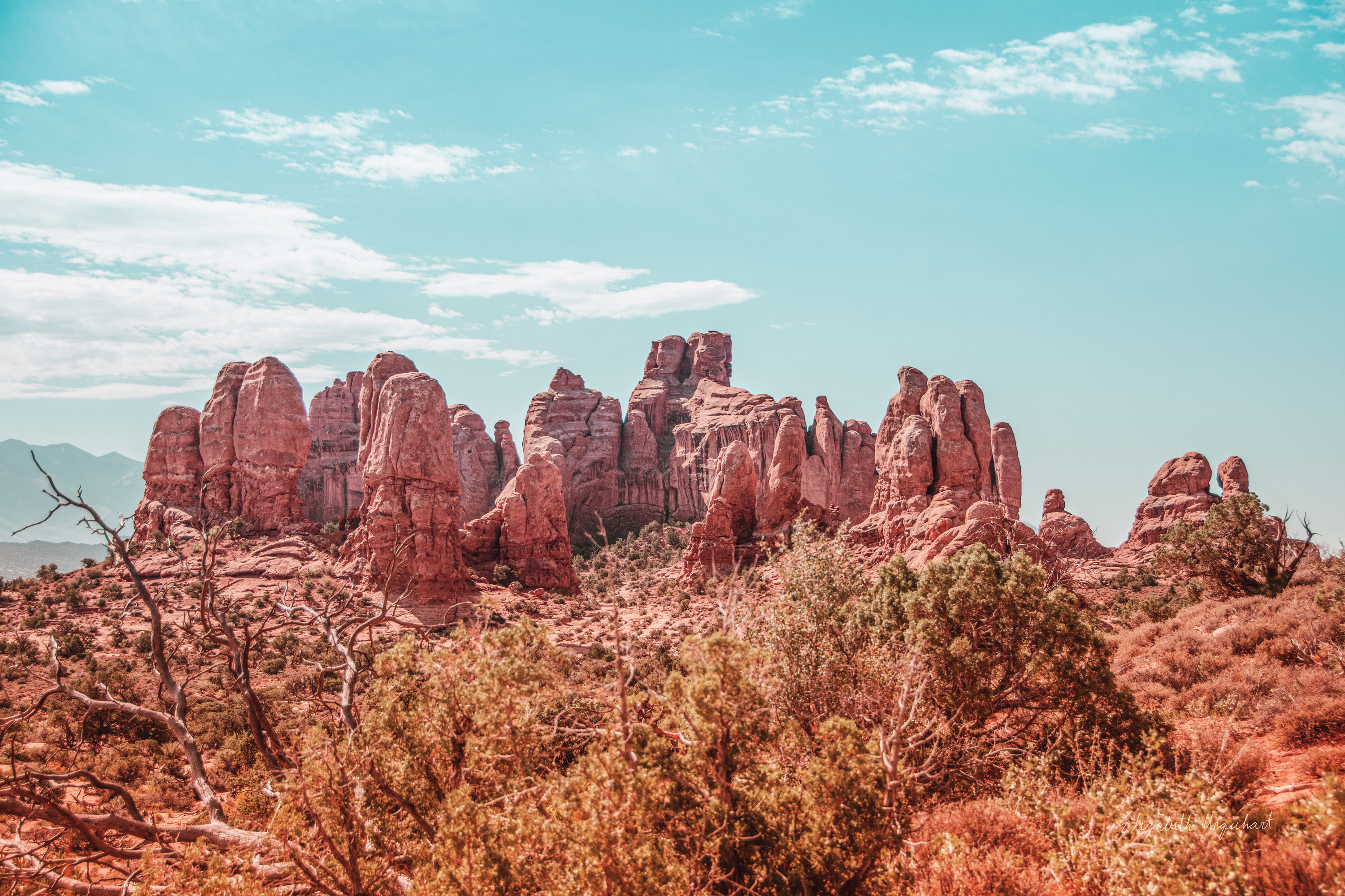 Union Rustic Keiandra What A View II On Canvas by Elizabeth Urquhart ...