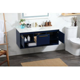 48 Inch Blue Bathroom Vanities You'll Love | Wayfair