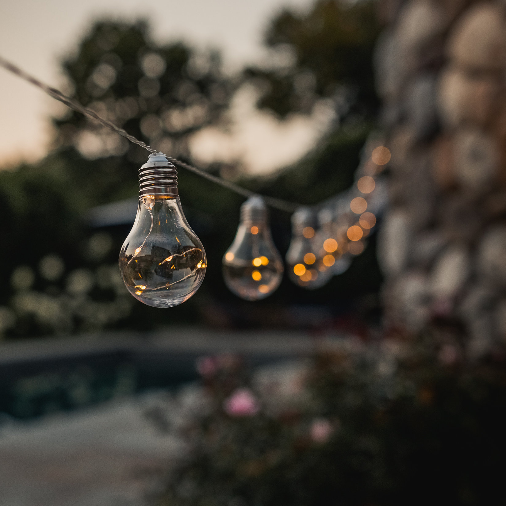 Williston Forge Shemar 20' Outdoor LED Solar Powered 10 - Bulb Globe ...