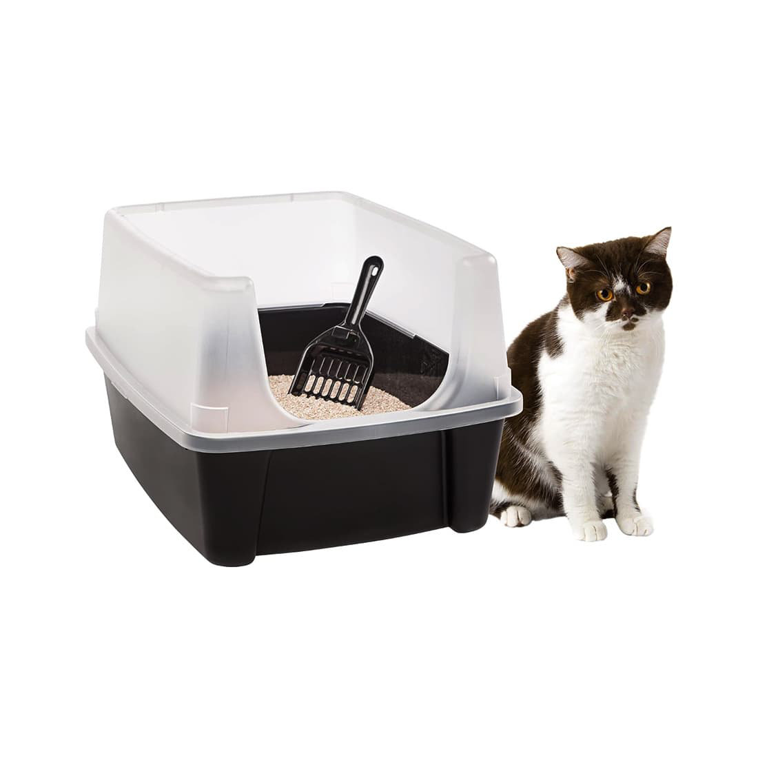 Tucker Murphy Pet™ Open Top Litter Tray With Spoon And Dispersal Guard ...